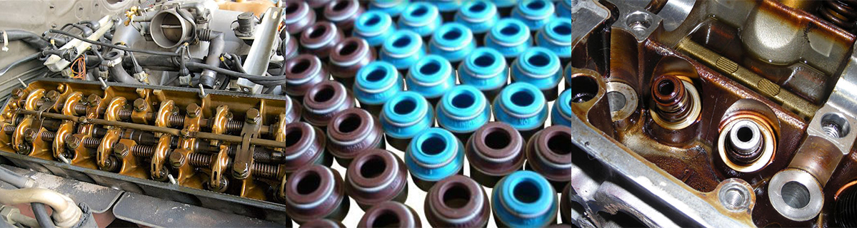 Valve Stem Seals