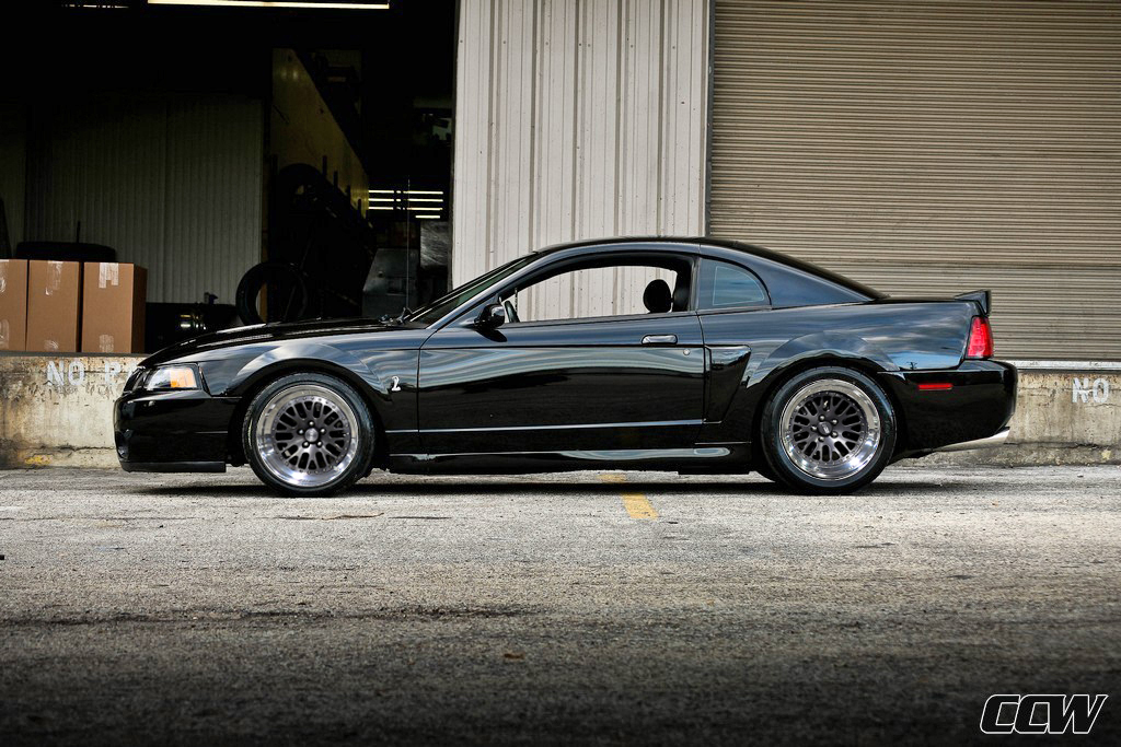 CCW Wheels Now Available at Vivid Racing - Vivid Racing News